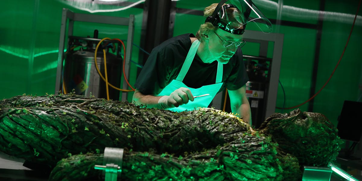 Swamp Thing: The Anatomy Lesson Review – Mooreviews